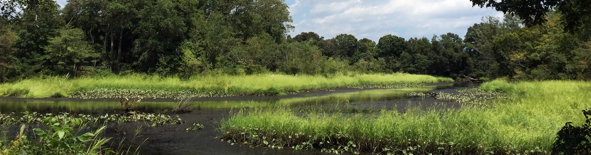 Homepage - Northern Neck Tourism Commission